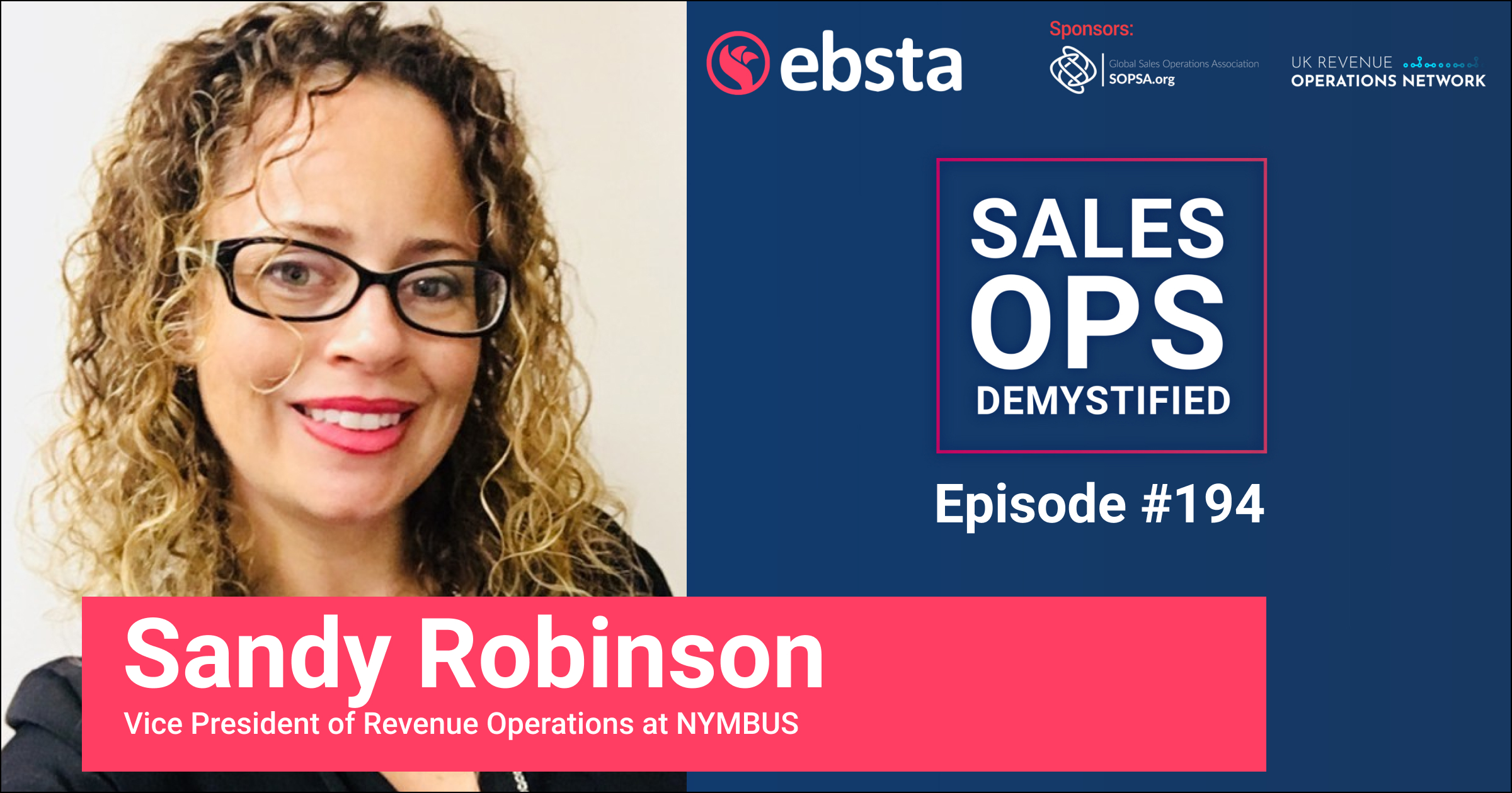 Keeping It Simple for Sales Reps With Sandy Robinson